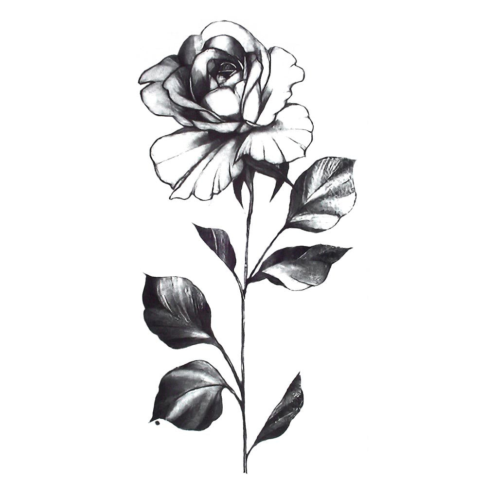 Tatouage éphémère - Rose en noir et blanc | Faux tatouage Rose